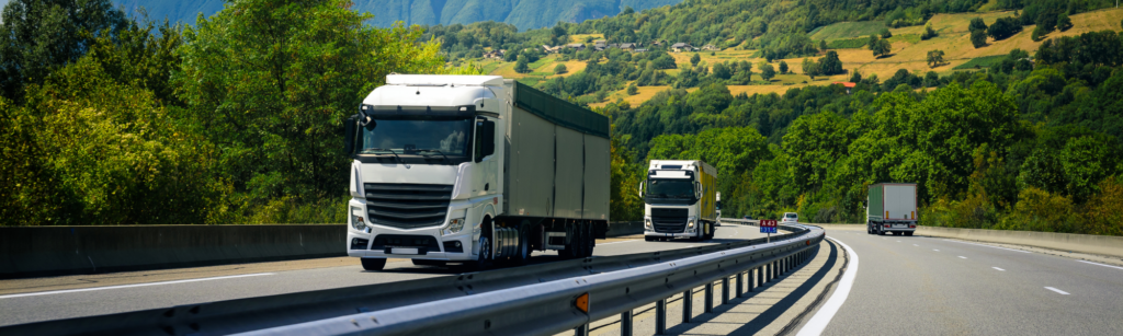 Austria a trecut la e-CMR - Traficmedia